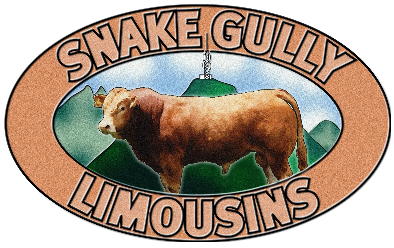 Snake Gully Limousin – Limousin NZ