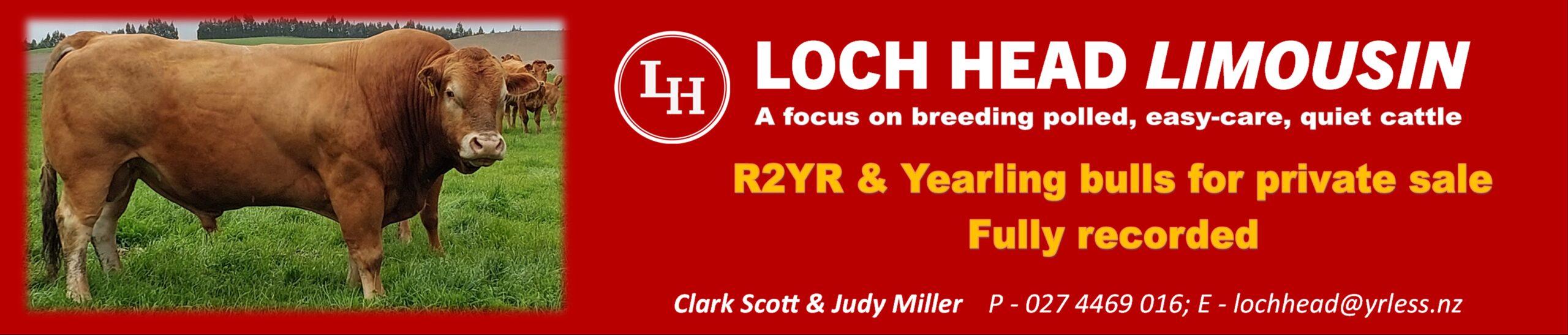 Limousin NZ – Limousin Beef Breeders Society of New Zealand